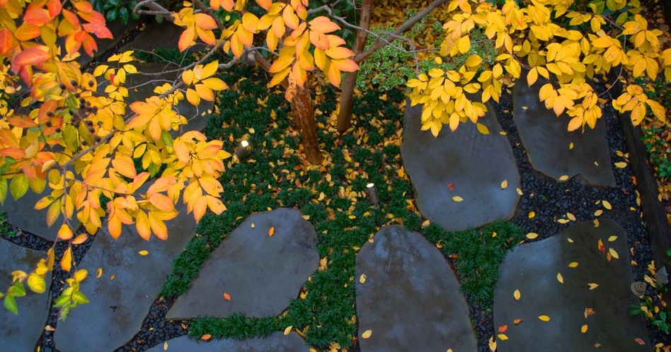 Why Bluestone Pavers Are The Best Option For Landscaping? – Pavers ...